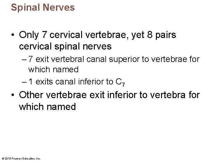 Power Point Lecture Slides prepared by Barbara Heard