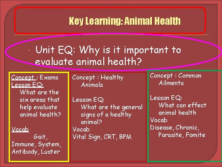 Animal HealthManagement ANSC Objectives Define basic animal health