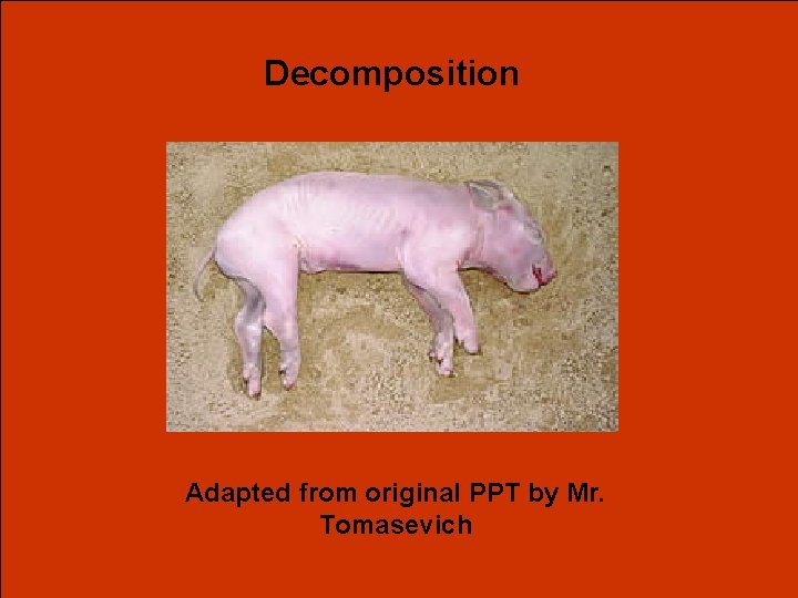 Decomposition Adapted from original PPT by Mr Tomasevich