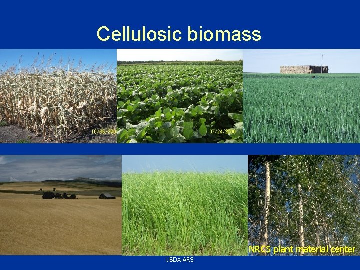 Balancing Biomass for Bioenergy and Conserving the Soil