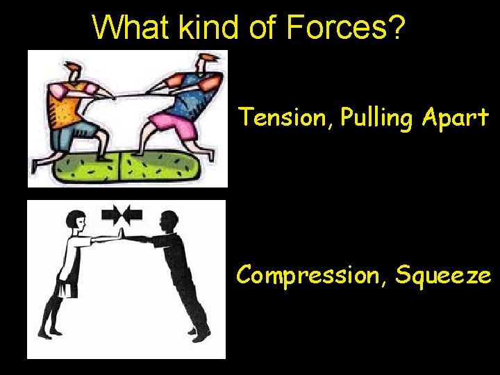 Bridges 8 th Grade Science Butler Middle School