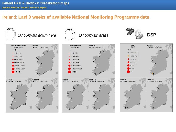 HAB Bulletin status of harmful and toxic algae