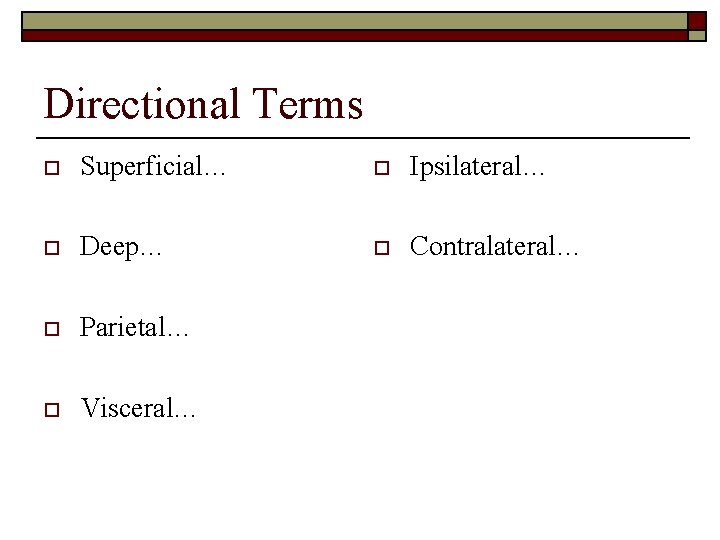 Psyc 552 Ergonomics Biomechanics Lecture 3 Anatomy Work