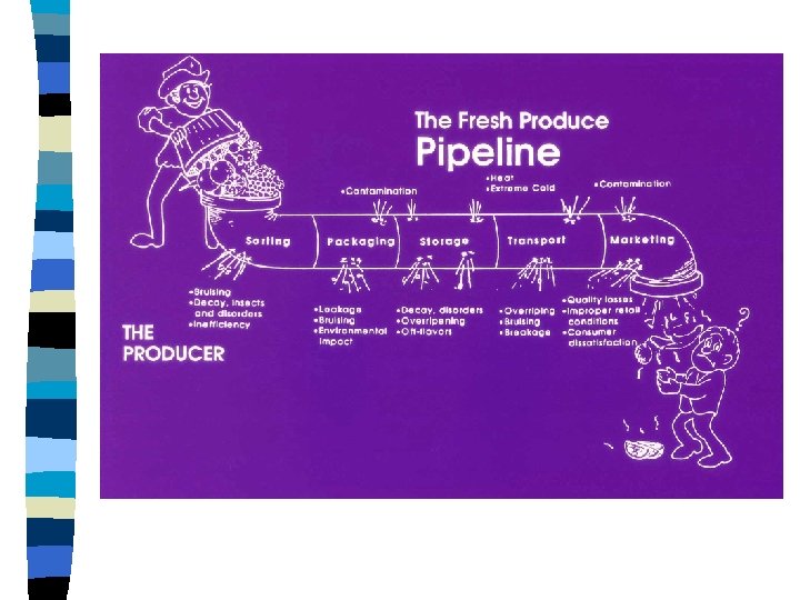 Causes and Sources of Postharvest Problems Common practices