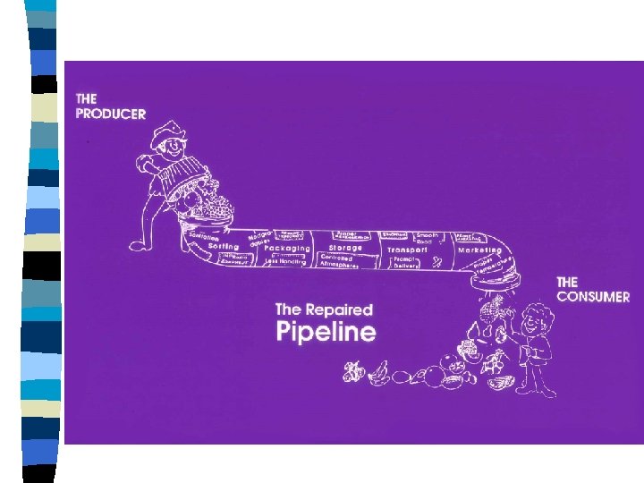 Causes and Sources of Postharvest Problems Common practices