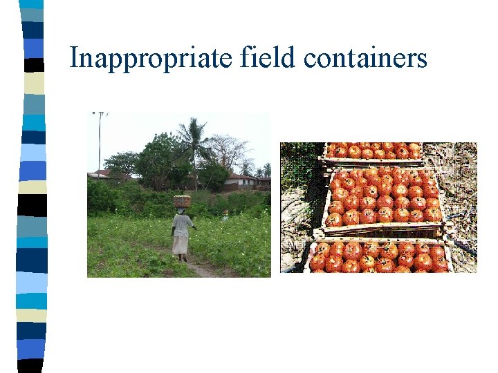 Causes and Sources of Postharvest Problems Common practices