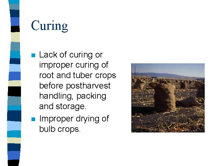 Causes and Sources of Postharvest Problems Common practices