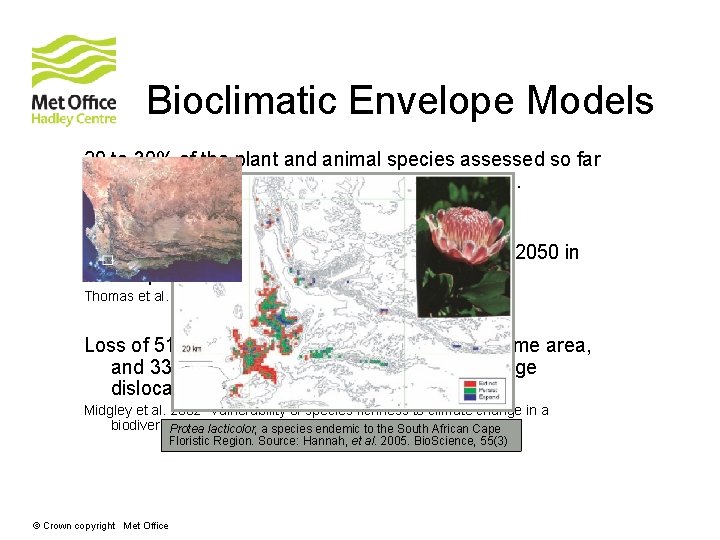Impacts of climate change on biodiversity Monitoring modelling