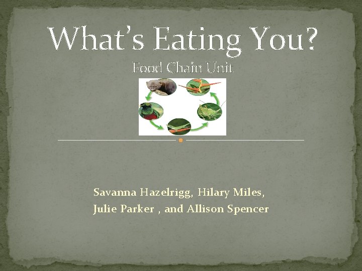 Whats Eating You Food Chain Unit Savanna Hazelrigg