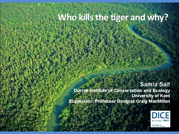 Who kills the tiger and why Samia Saif