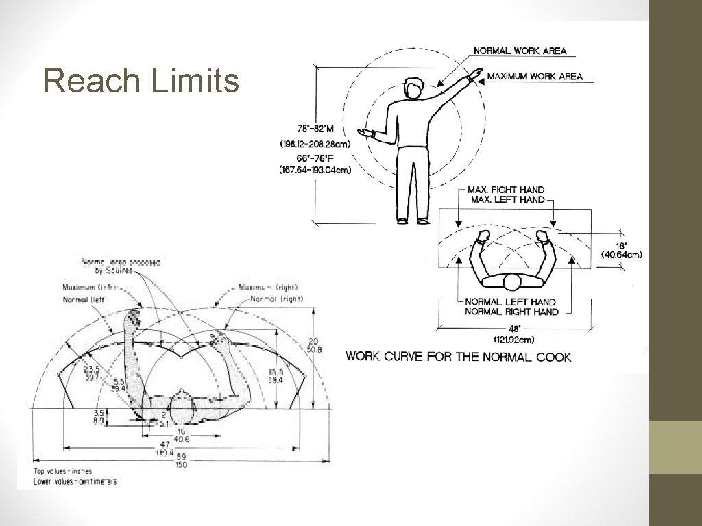 Kitchen Basics Planning and trends Kitchens are Considered