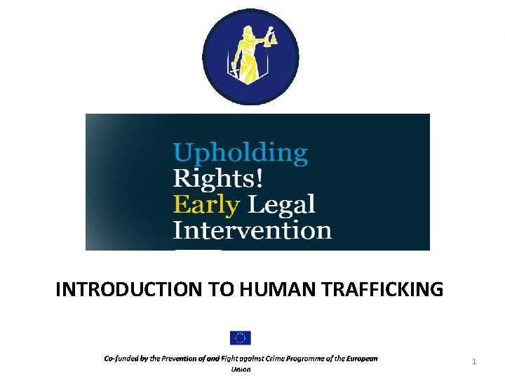INTRODUCTION TO HUMAN TRAFFICKING 1 WHO WE ARE