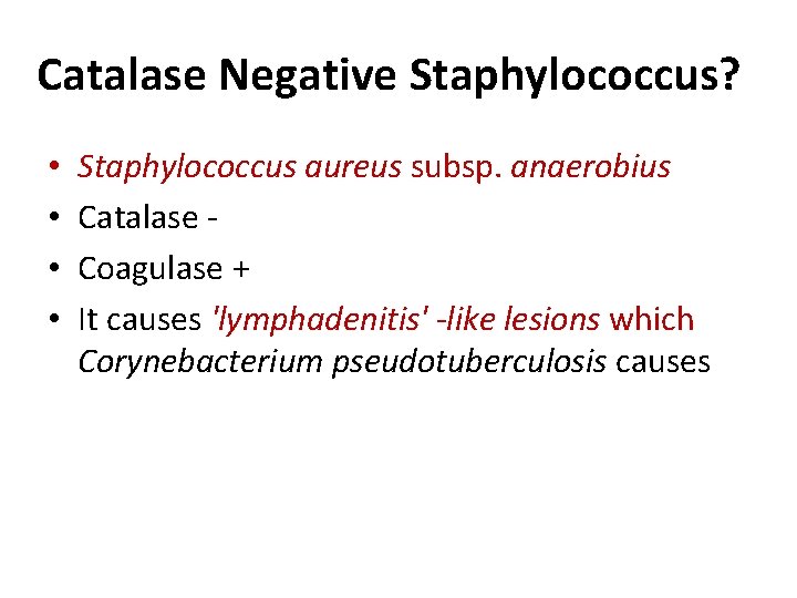 STAPHYLOCOCCUS Skin upper respiratory tract lower digestive system