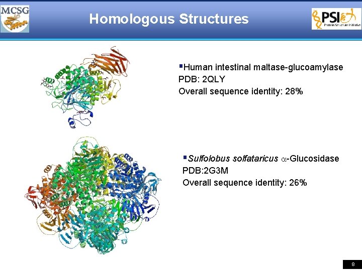 The Structure and Function of Glucosidase from Human