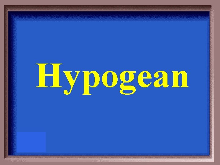 Bats Cave Formation Cave Sections Types of Caves