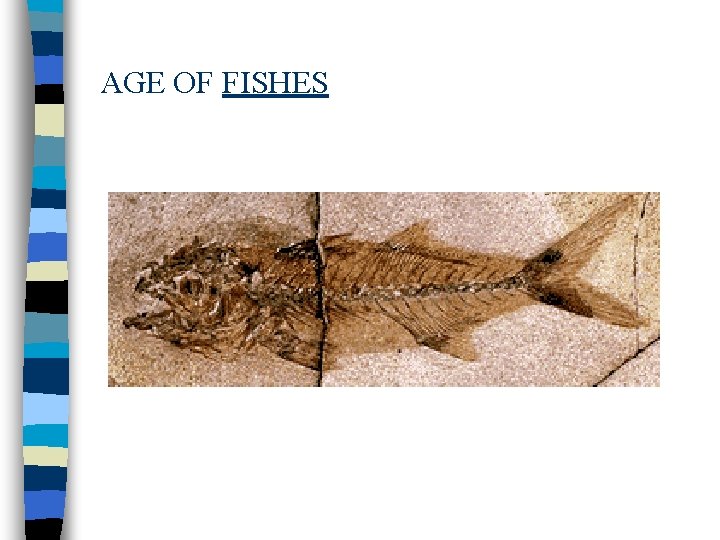 GEOLOGIC TIME The Earth is 4 55 billion