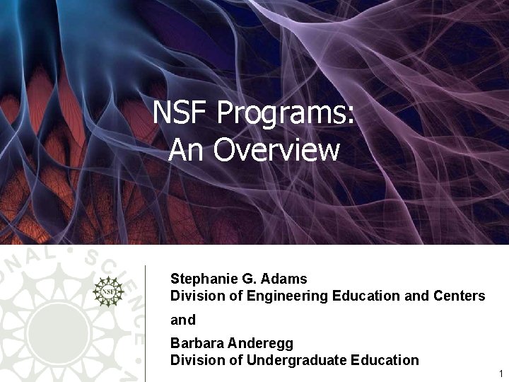 NSF Programs An Overview Stephanie G Adams Division