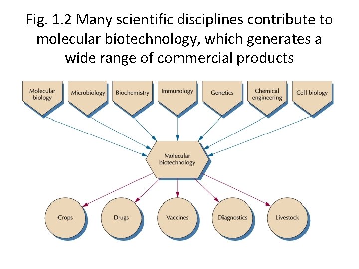 Biotechnology and Genetic Engineering PBIO 450550 Biotechnology terminology