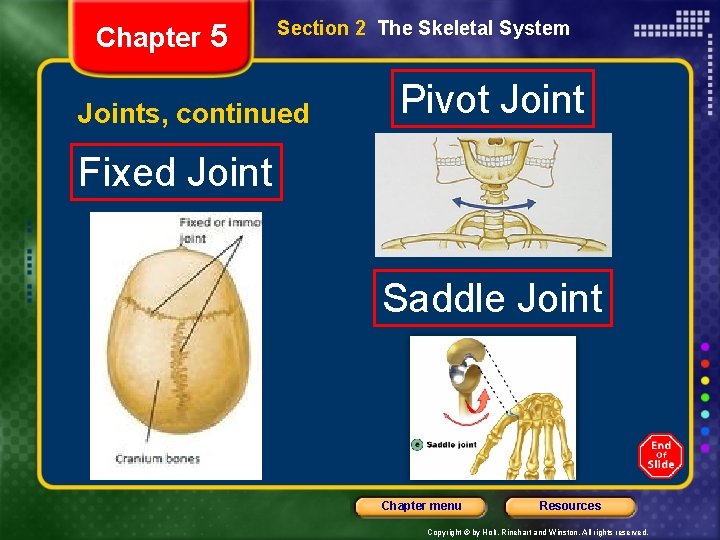 Chapter 5 Section 2 The Skeletal System Objectives