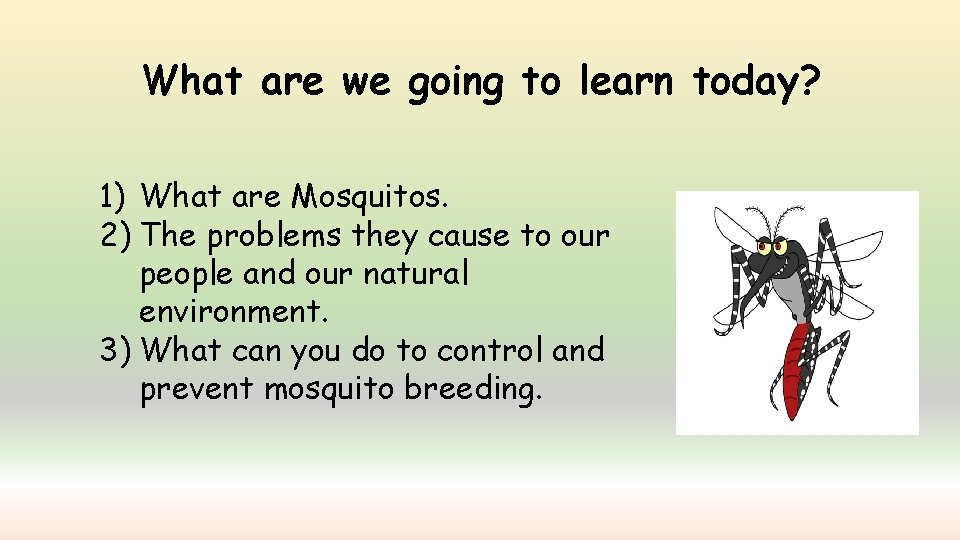 Invasive Species Lesson Mosquito What are we going