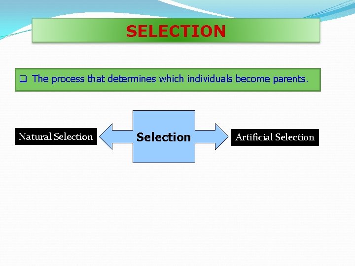 SELECTION q The process that determines which individuals