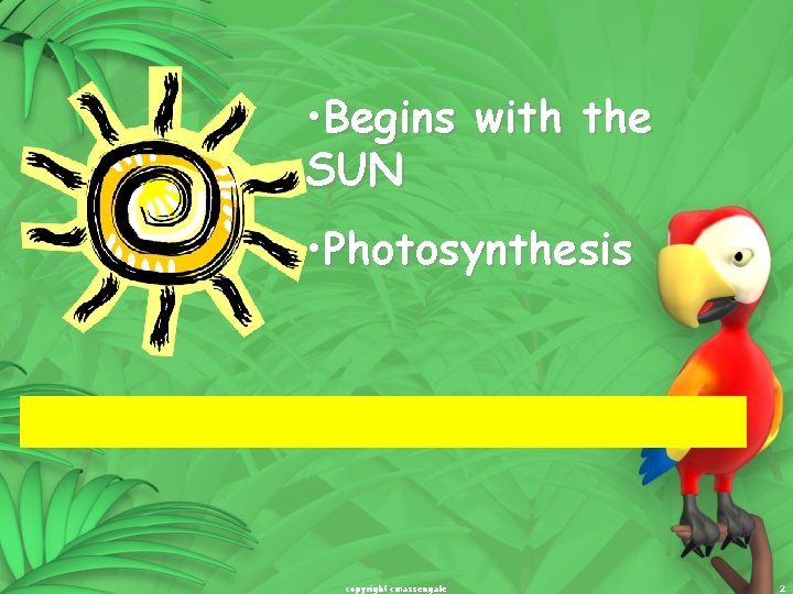 Energy Flow Through an Ecosystem Food Chains Food