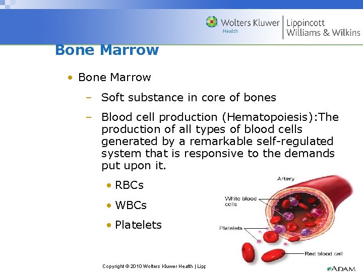 Assessment and Management of Patients With Hematologic Disorders