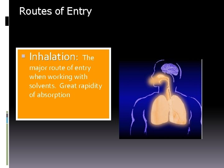 LABORATORY SAFETY Lisa Bognar Phillips Bognar 6nd edu