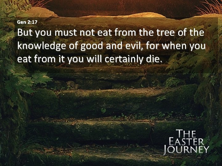 Gen 2 17 But you must not eat