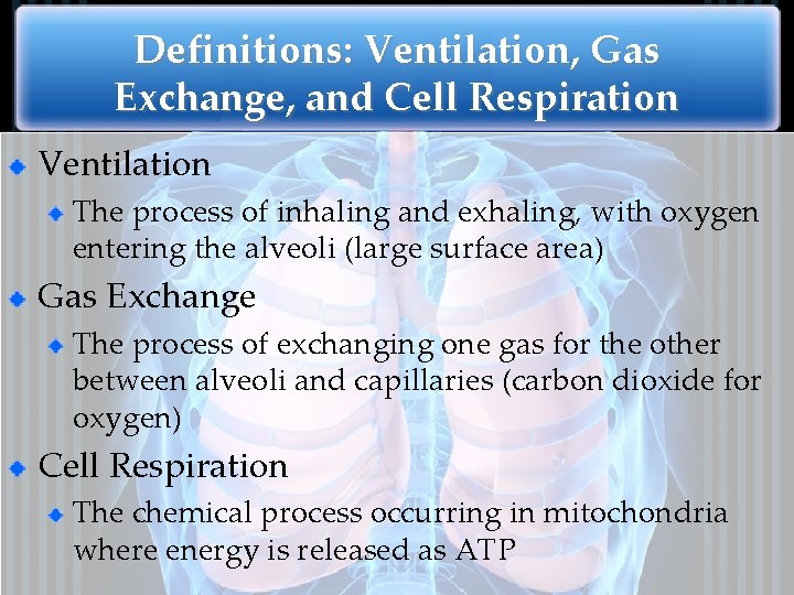 6 4 Gas Exchange Respiratory System Why do