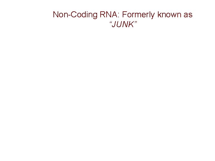 Introduction to micro RNA mi RNA Workshop Ravi