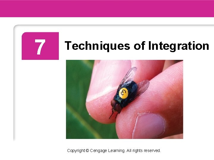 7 Techniques of Integration Copyright Cengage Learning All