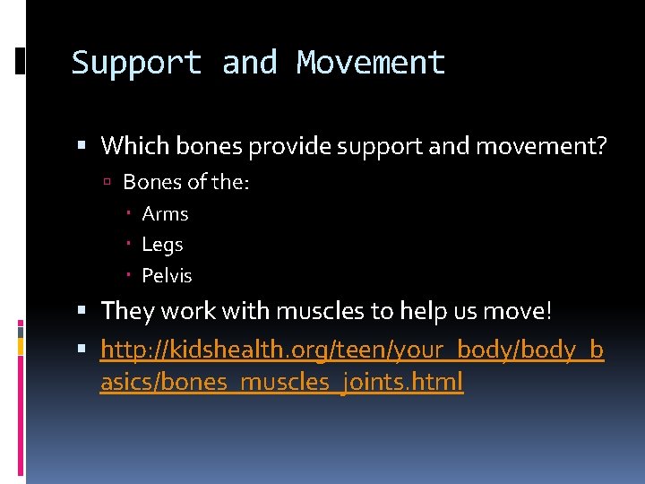 Unit B Chapter 3 Lesson 1 THE SKELETAL
