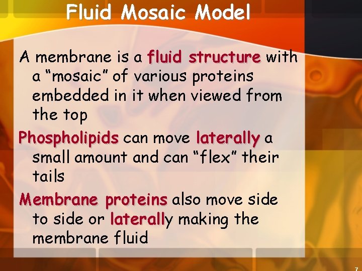 Membrane Structure and Function 1 Plasma Membrane Is