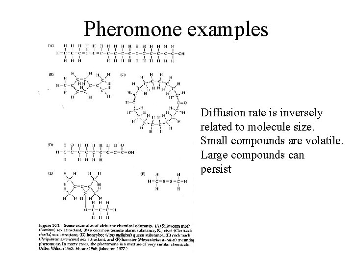 Chemical Signals Types Production Transmission Reception Olfactory signal