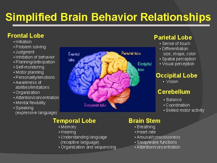 BRAIN INJURY 101 Definition Causes Incidence Judy L