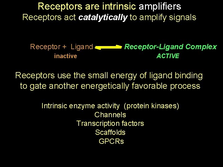 Receptors G Proteins Effectors and Circuit Design Elliott