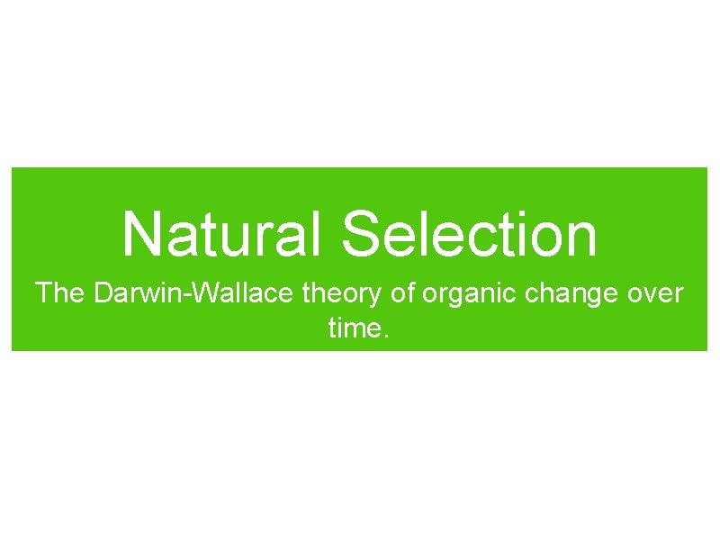 Natural Selection The DarwinWallace theory of organic change