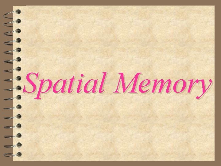 Spatial Memory Memory is the retention of learned
