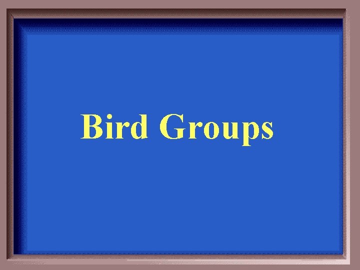 Dissection Bird Groups General Characteristics Feathers Adaptations ...