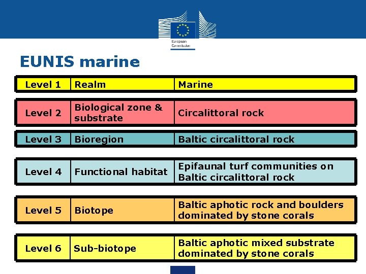 Seabed habitat assessments David Connor European Commission DG