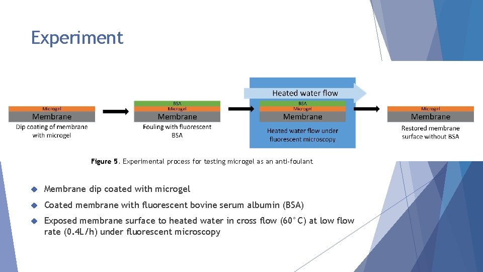 HeatResponsive Microgel AntiFoulant Coatings for Water Purification ...