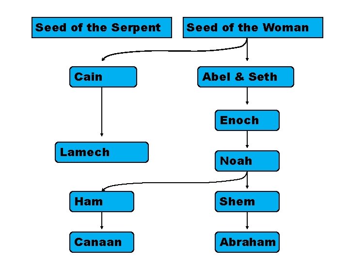 Bible Study for PrServants The Big Idea Of