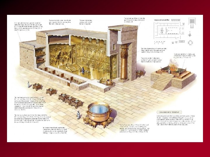 your body is a temple of the Holy