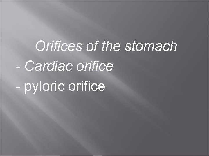 STOMACH AND ESOPHAGUS Esophagus The esophagus is a