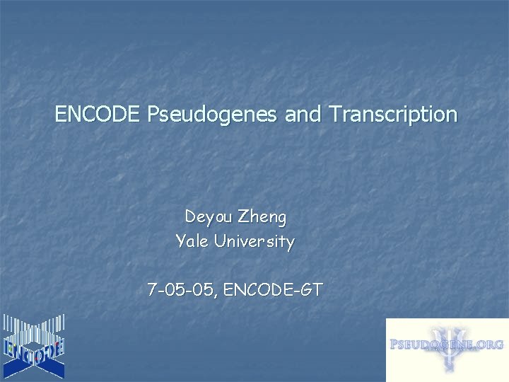 ENCODE Pseudogenes and Transcription Deyou Zheng Yale University
