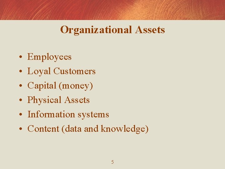 Chapter 13 Information Resource Management IrwinMc GrawHill The