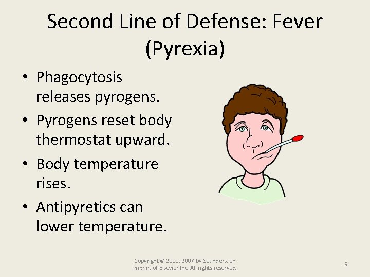The Human Body in Health and Illness 4