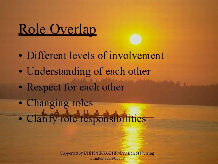 Team Member Roles and Responsibilities ELDER Project Supported