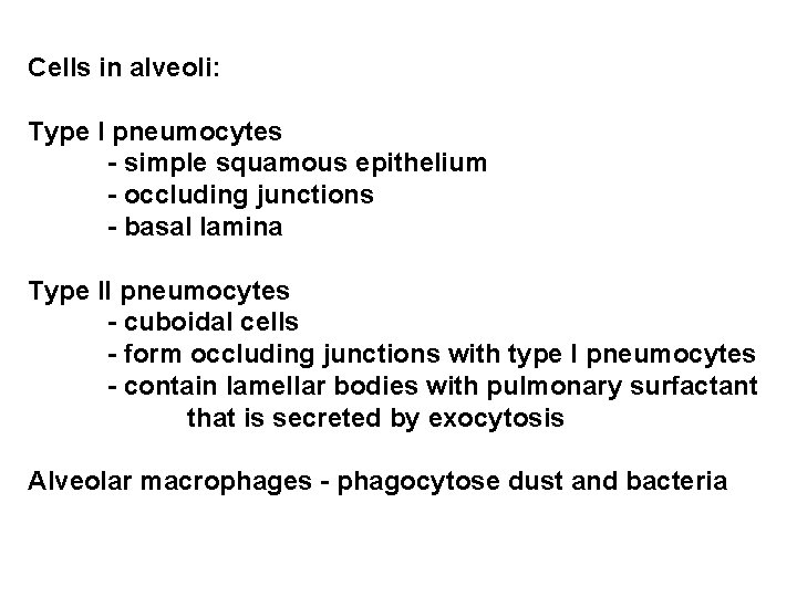 Respiratory System nasal cavity Primary Bronchi bronchioles alveoli